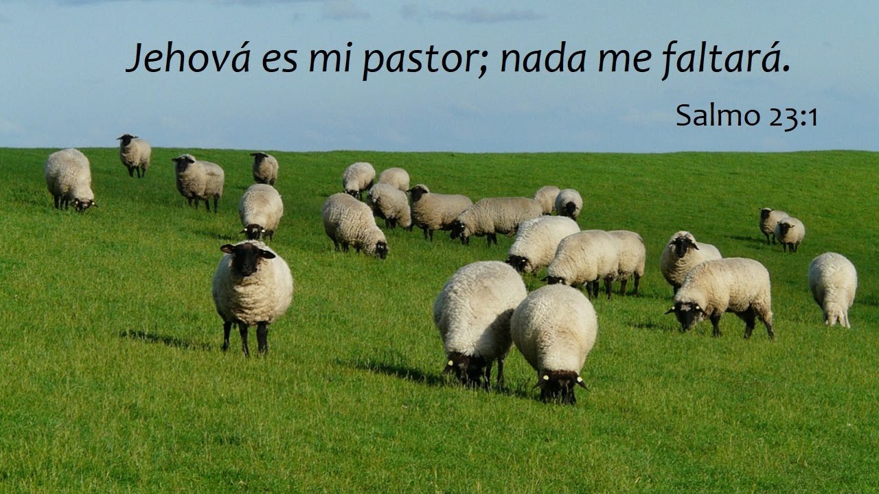 Salmo 23 - YouTube