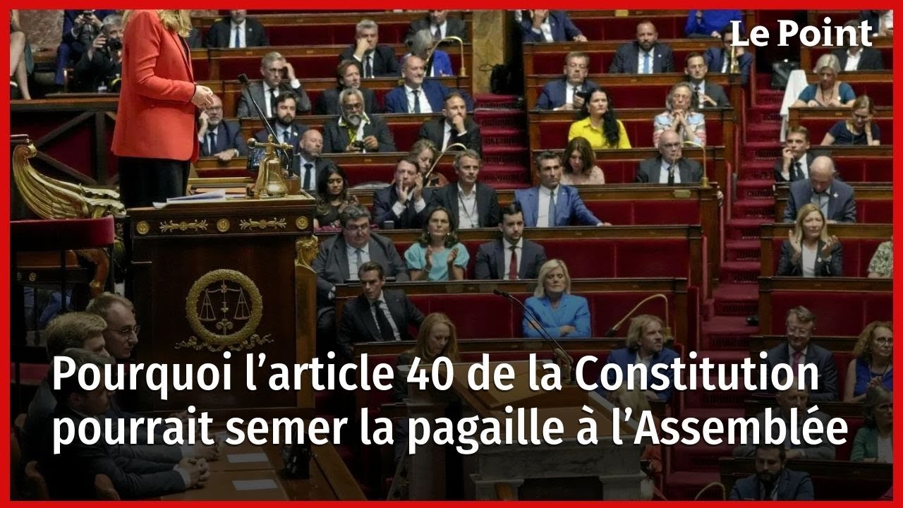Pourquoi l’article 40 de la Constitution pourrait semer la pagaille à l ...