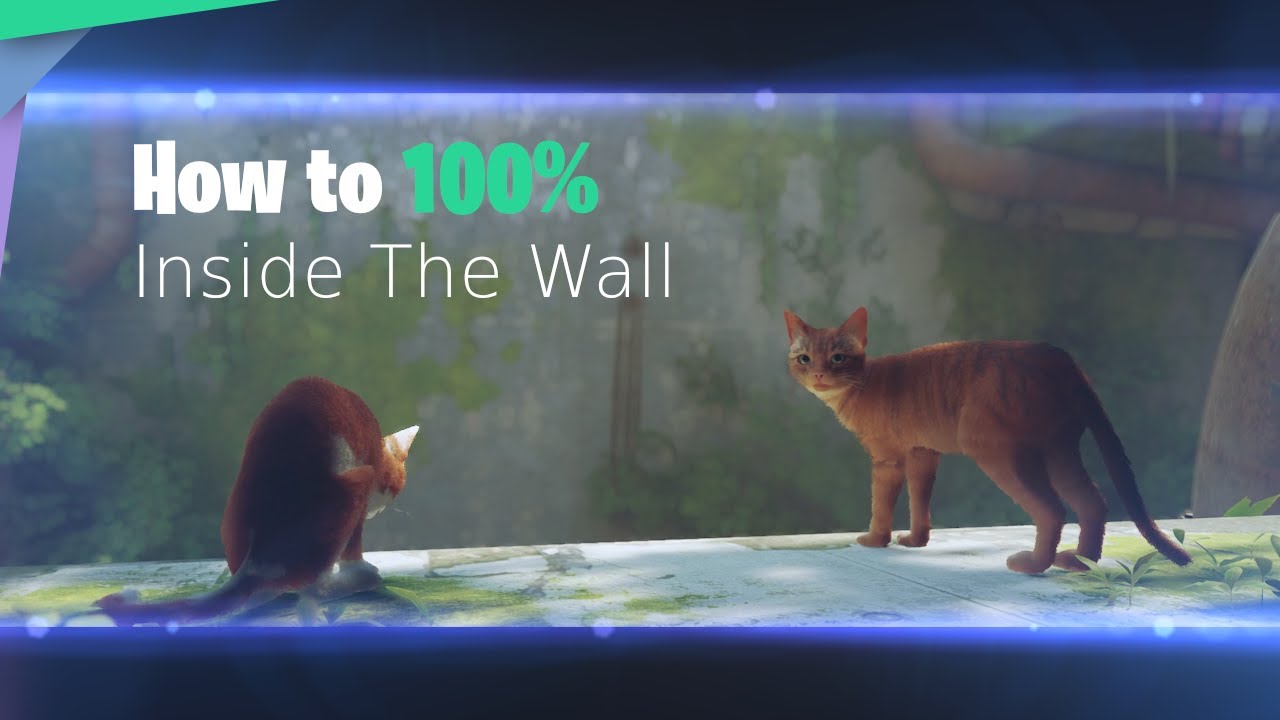 Stray - How to Complete Chapter 1 Inside the Wall - YouTube