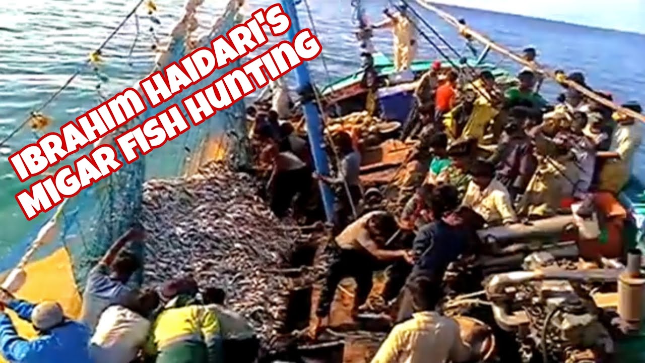 Ibrahim Haidari's Migar fish hunting - YouTube