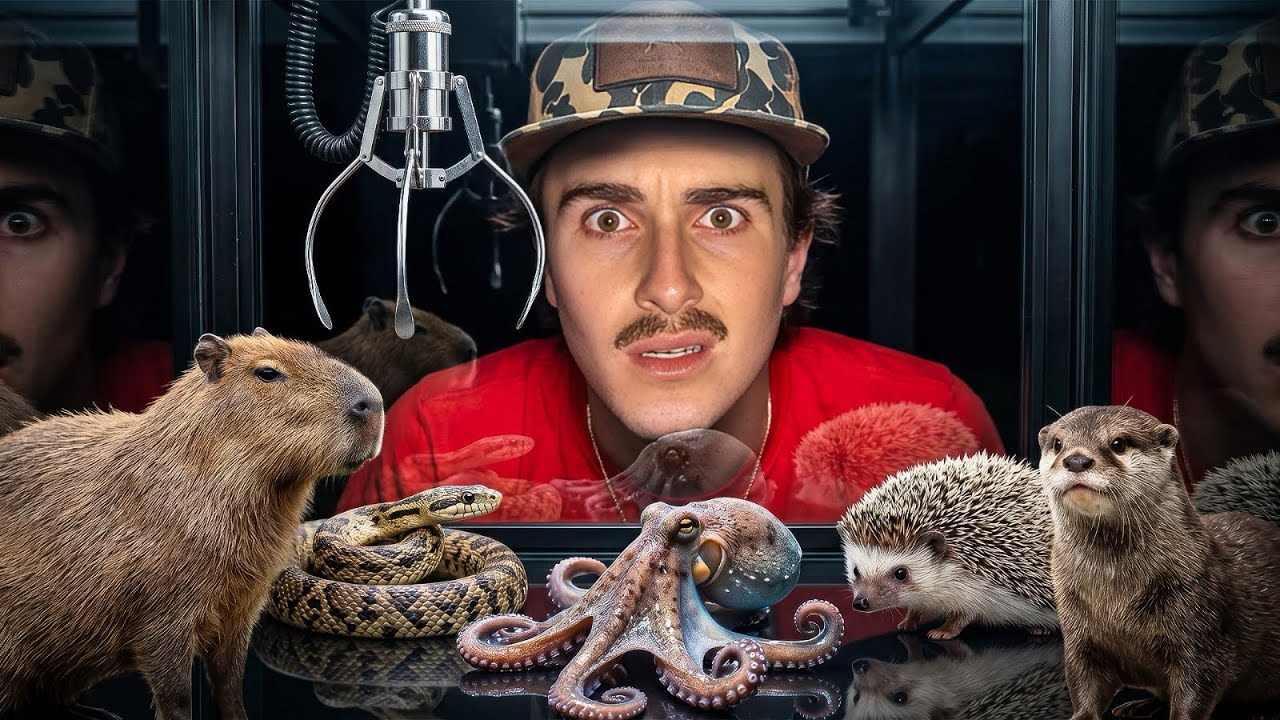 I Bought a Live Animal Claw Machine! - YouTube