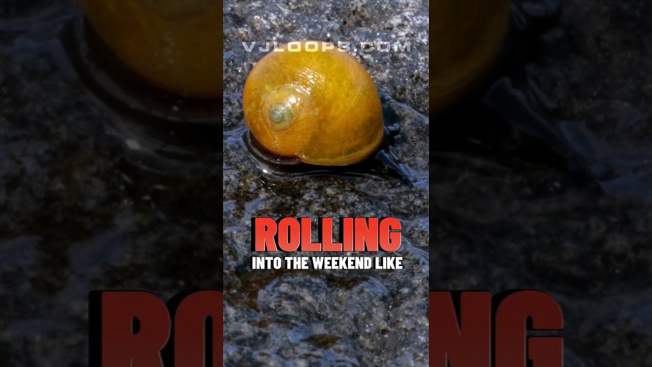 Rolling into the weekend like 🐌 #vjloops #shorts #weekend - YouTube