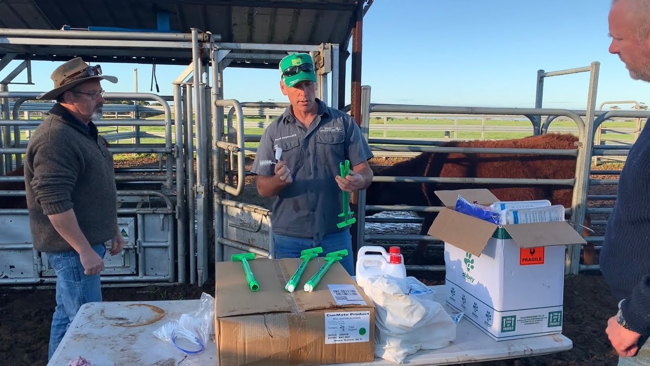 That’s your Cue, Mate! Starting a FTAI synchronization program. - YouTube