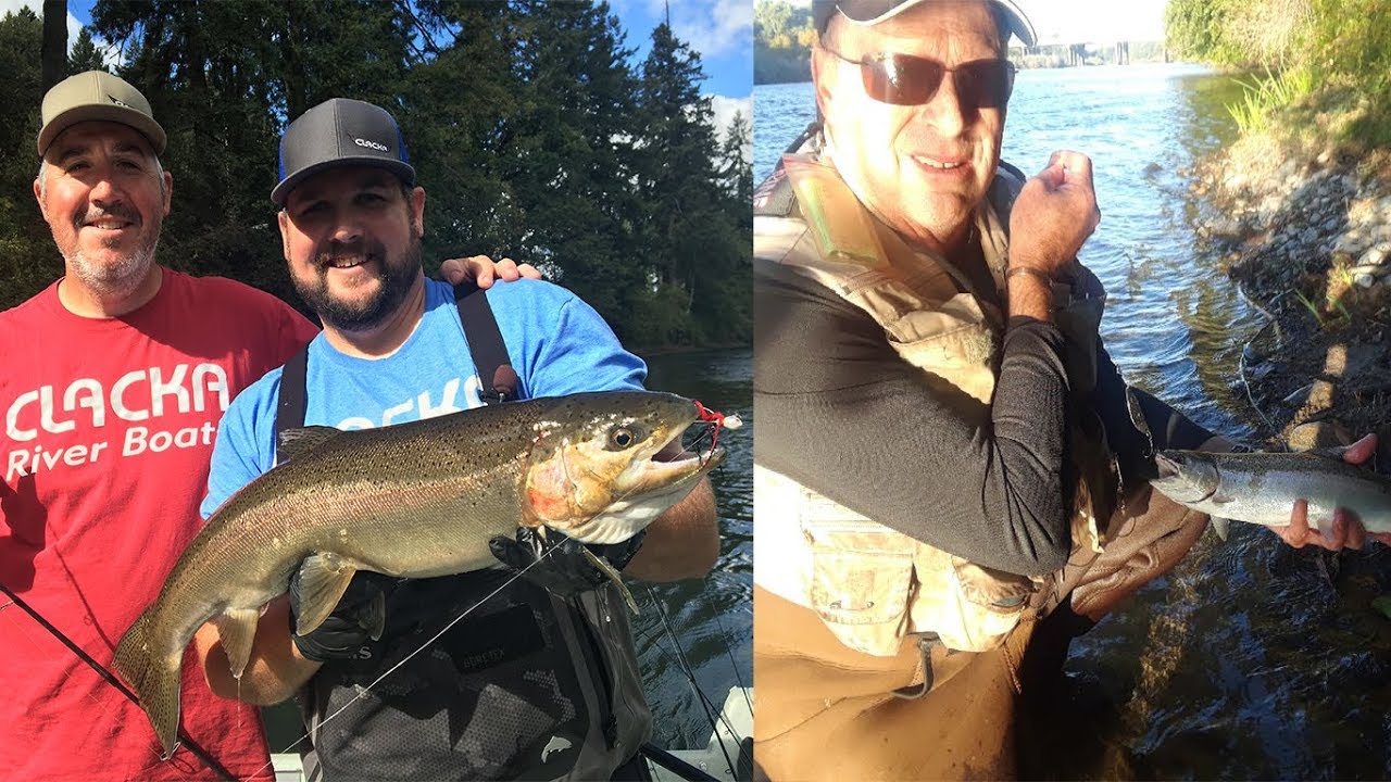 Clackamas River Coho & Steelhead and American River Steelhead - YouTube