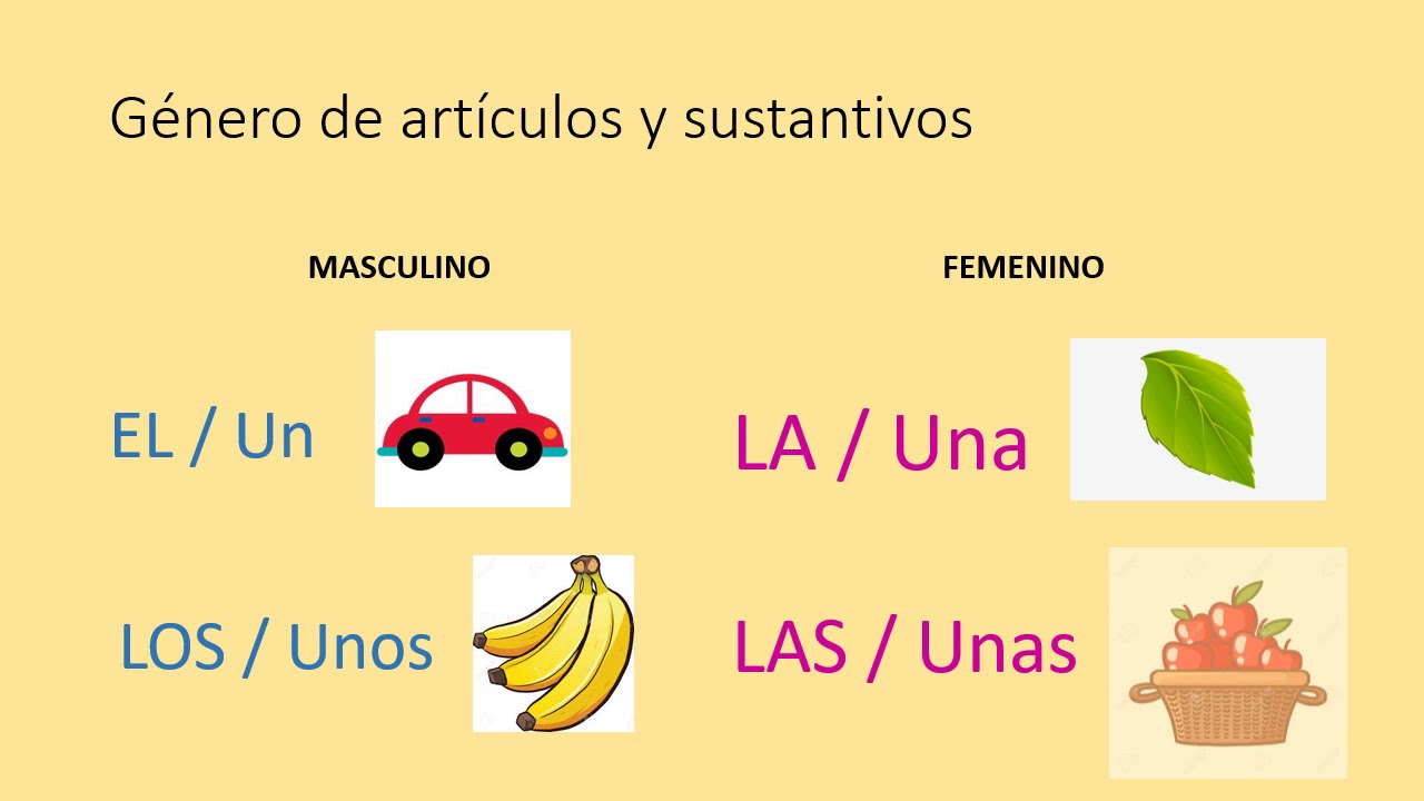 Género y número de artículos y sustantivos - YouTube