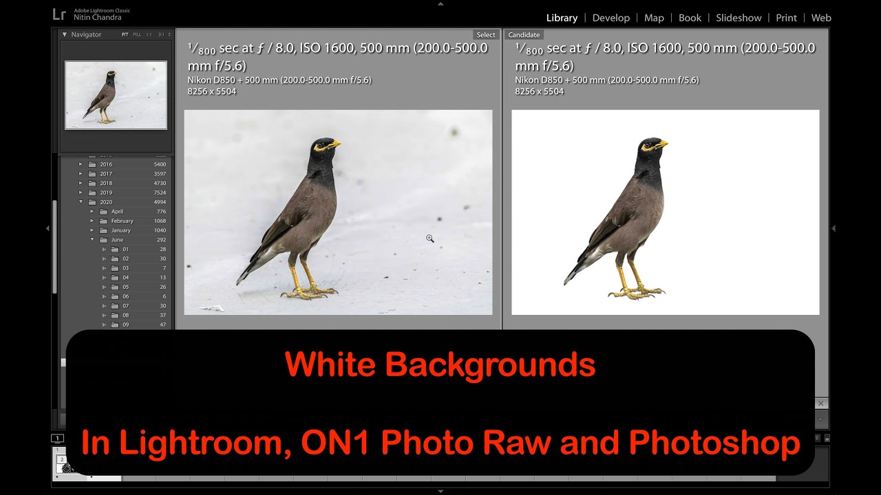 White Backgrounds with Lightroom, Photoshop and ON1 Photo Raw - YouTube