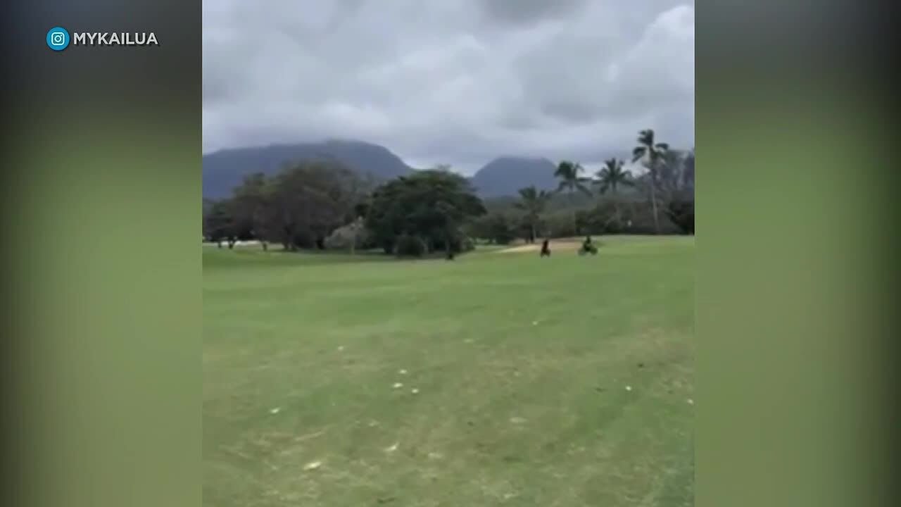 Dirt bike riders damage Windward country club golf course - YouTube