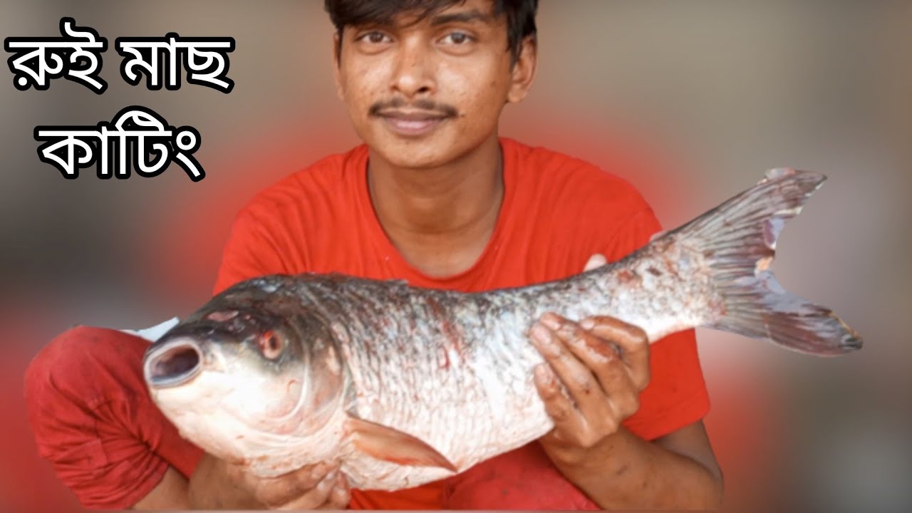 Amazing Big Roy Fish Cutting | Market Fish cutting Experts Fish Cutting ...