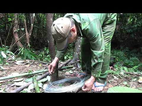 Full Video: Survival instinct, Wild Alone Bushcraft in 365 Days Off Grid Creative Build Hut Cabin