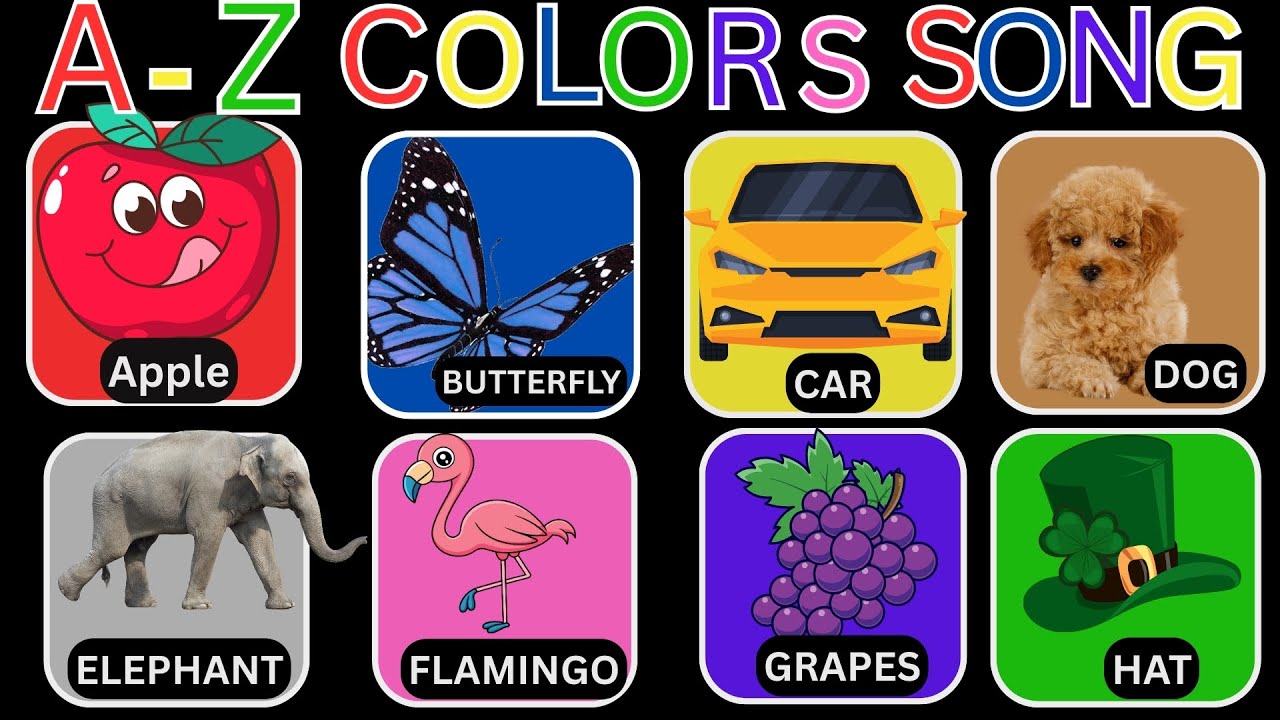 What's Your Favorite Color? | The Real Reason Kids Love Certain Colors ...