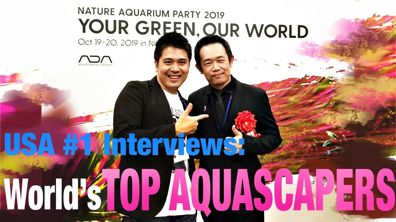 IAPLC 2019 - Interviewing Grand Prize Josh Sim & World's Top Layouters ...