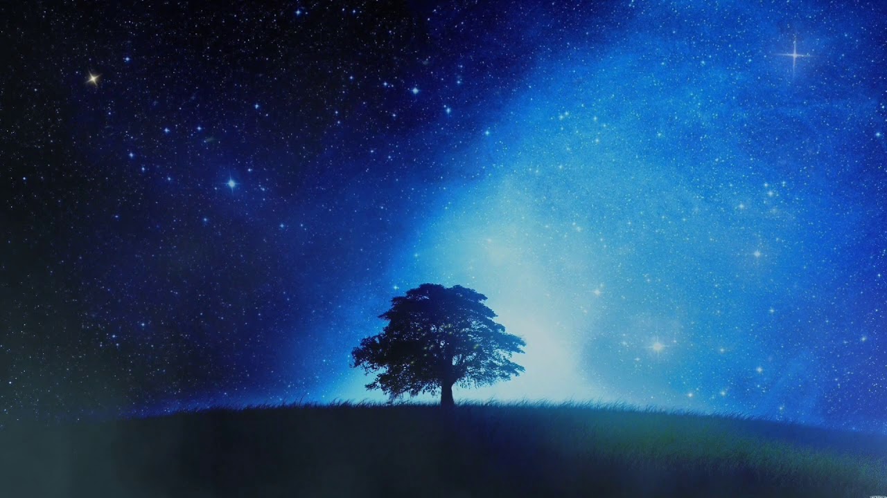 Free Background Video Loop | Night Sky Video background | Download Free ...