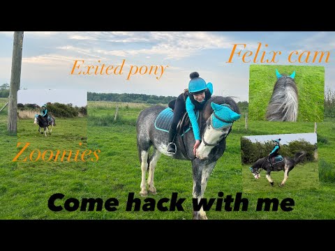 Come hack across the fields with me and felix, zoomies - YouTube