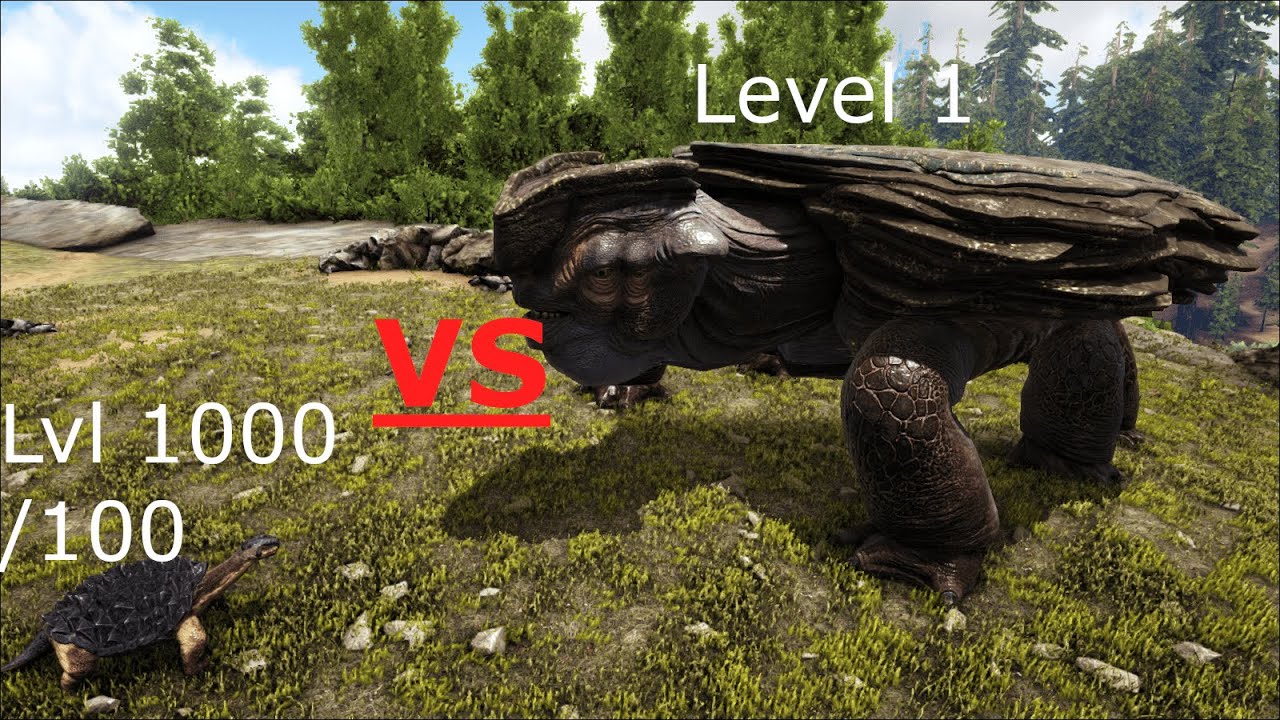 Megachelon level 1 VS Carbonemys lvl 1000 & 100 | Big Turtle vs small ...