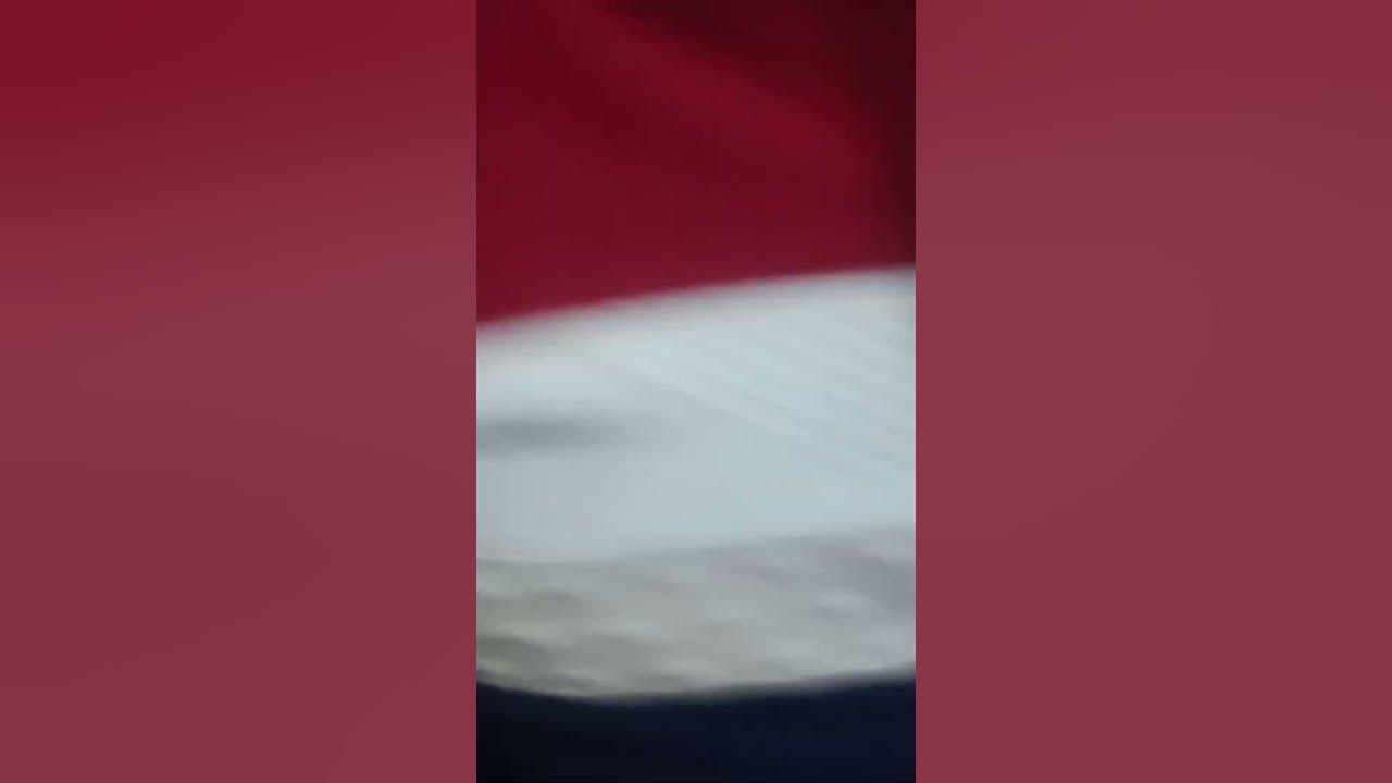 Velog of Mamu and all - YouTube