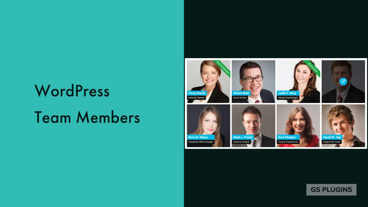 Best WordPress Team Members Plugin - GS Team Members - YouTube