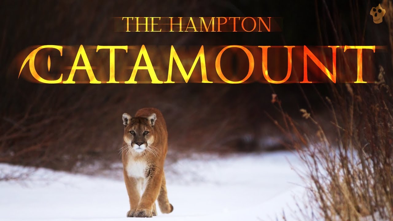 The Hampton Catamount - Cryptozoology Documentary 2022 - YouTube
