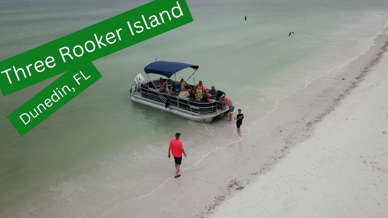 Three Rooker Island Dunedin, Florida Pontoon Shell Collecting - YouTube
