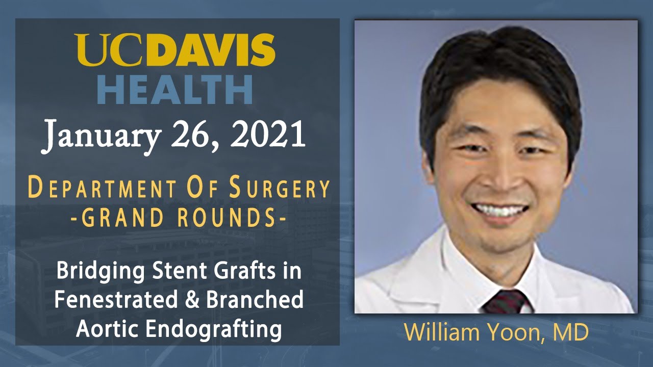 Bridging Stent Grafts in Fenestrated and Branched Aortic Endografting ...