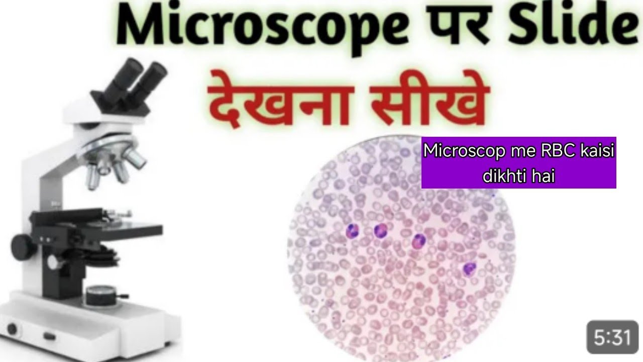 How to focus on Microscope II Slide under microscope II blood slide ...