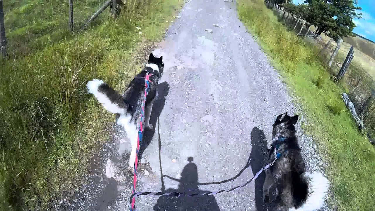 Walk past West Mon Golf Course. - YouTube