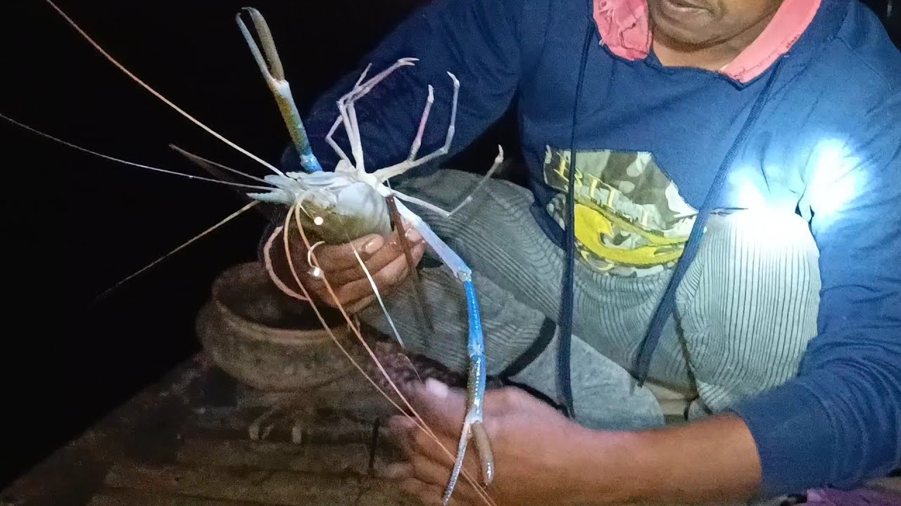 Ganga River fishing Golda chingri. - YouTube
