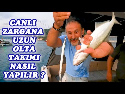 CANLI ZARGANA İLE LÜFER NASIL YAKALANIR ? TAKIMINI YAPTIK