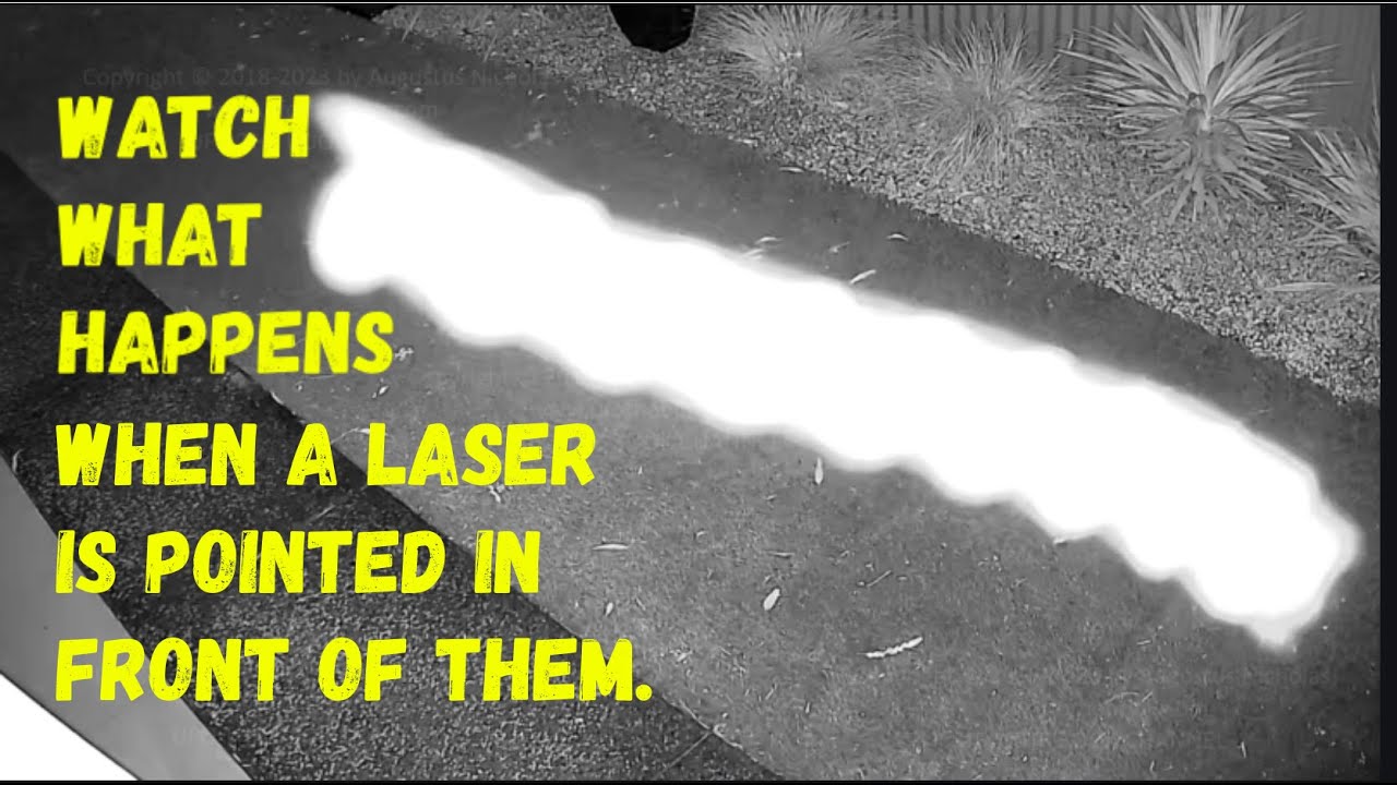 SKYFISH ROD UFOs caught on camera - FLYING ROD UFOs reaction to LASER ...