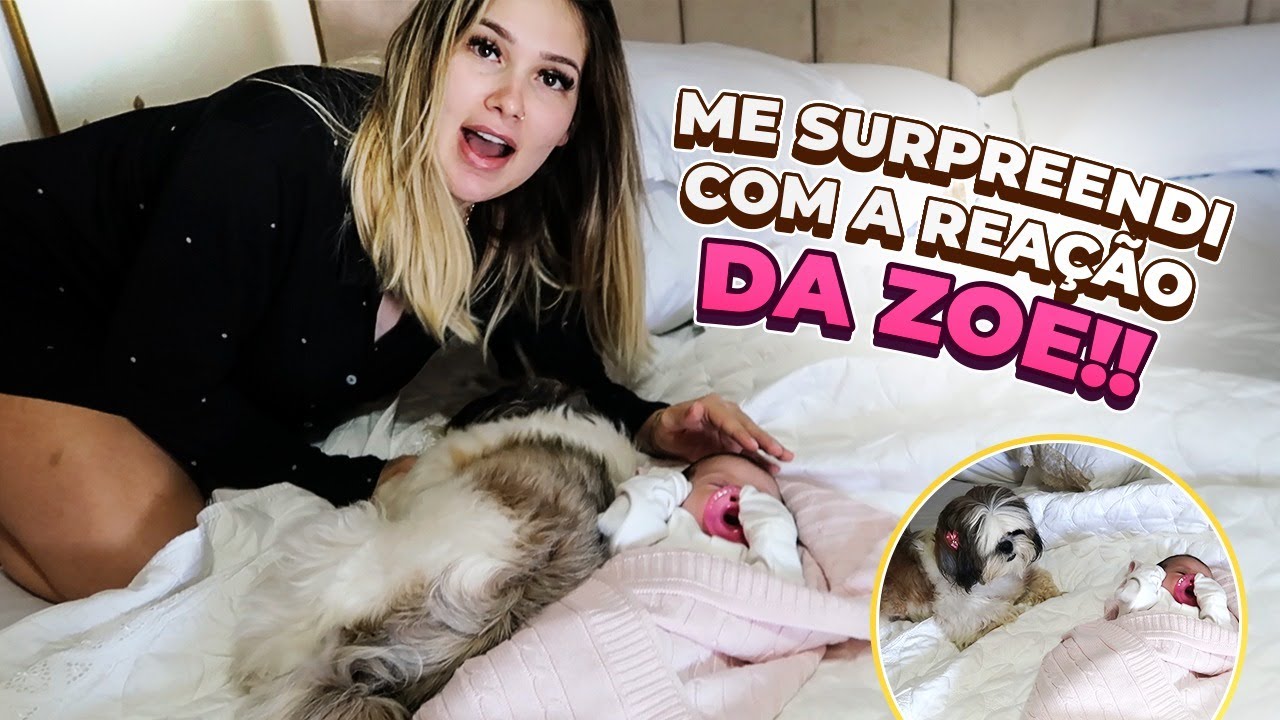 ME SURPREENDI COM A ZOE MARIA VENDO A MARIA ALICE PELA PRIMEIRA VEZ ...