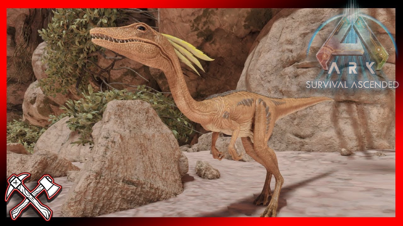 The Perfect Compy! - ARK: Survival Ascended (Ep. 10) - YouTube