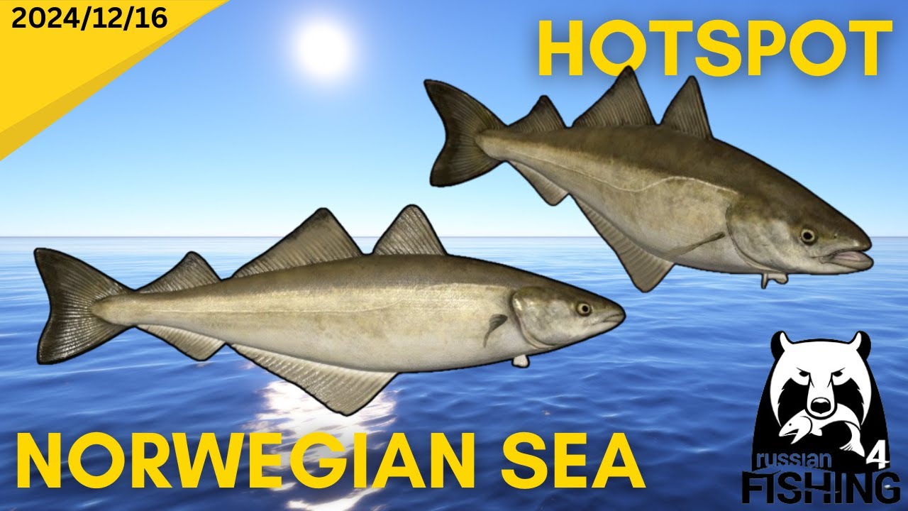 Foams are always good at 34 Russian Fishing 4 - YouTube