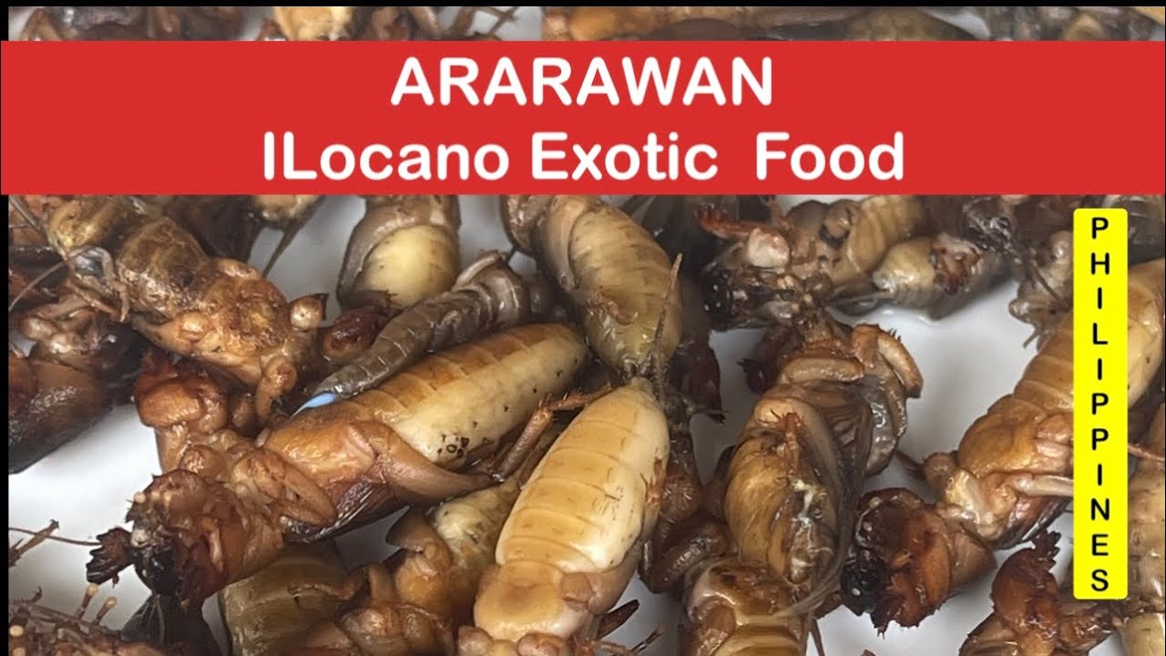 Fresh ARARAWAN (mole crickets) from the rice fields of Manacsac Guimba ...