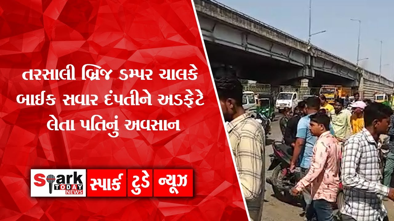 તરસાલી બ્રિજ ડમ્પર ચાલકે બાઈક સવાર દંપતીને અડફેટે લેતા પતિનું અવસાન ...