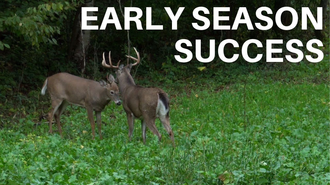 September Bowhunting | Surprise Buck Sighting - YouTube
