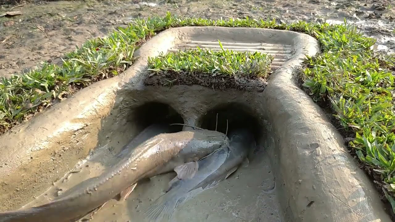 Amazing Easy Fish Trap | Unique Easy Fish Trap System | Trap Fishing ...