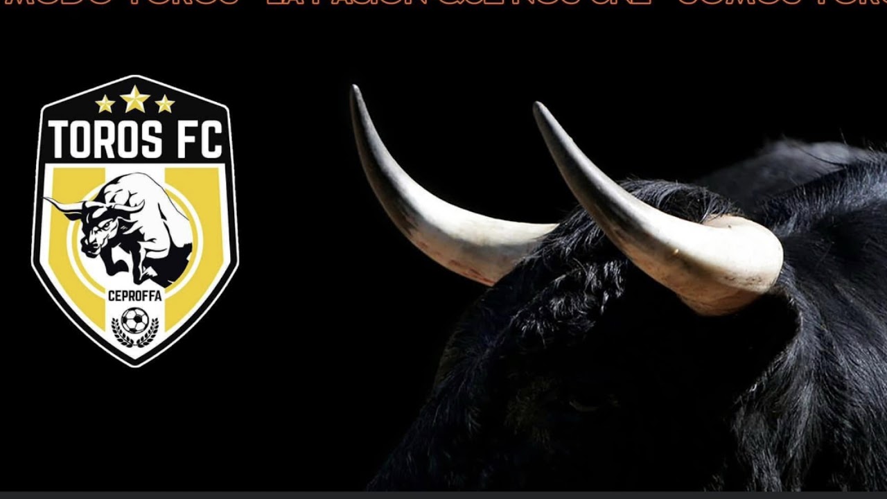 Xoloitzcuintles VS Toros FC Ceproffa | Jornada 11 | @Liga TDP - YouTube