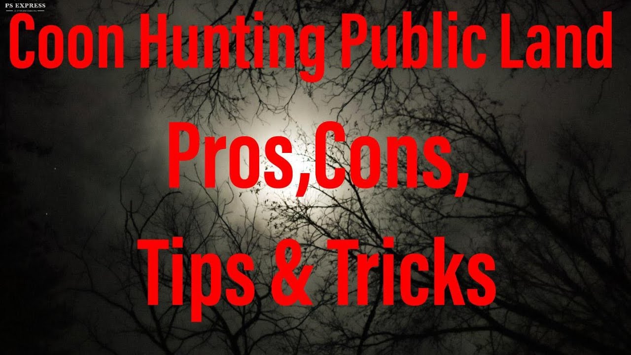 Coon Hunting Q A Coon Hunting Public Land Pros Cons Tips Tricks coon-hunting-q-a-coon-hunting-public-land-pros-cons-tips-tricks
