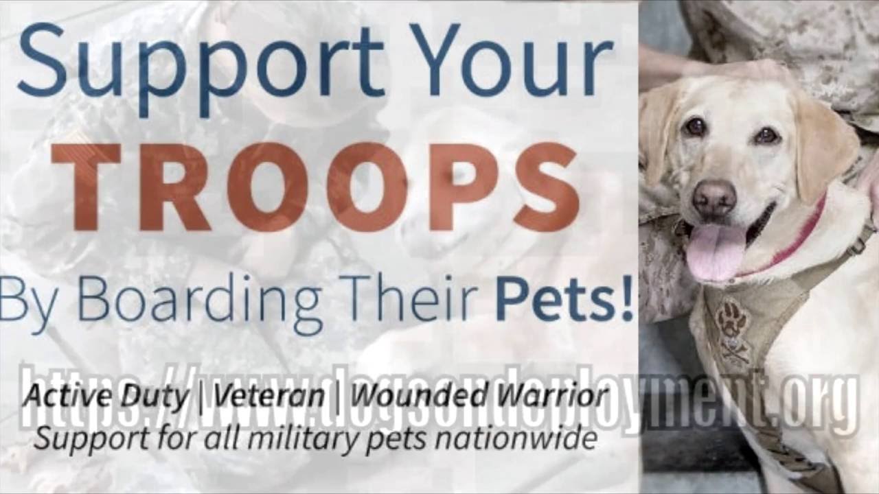 Dogs On Deployment - YouTube