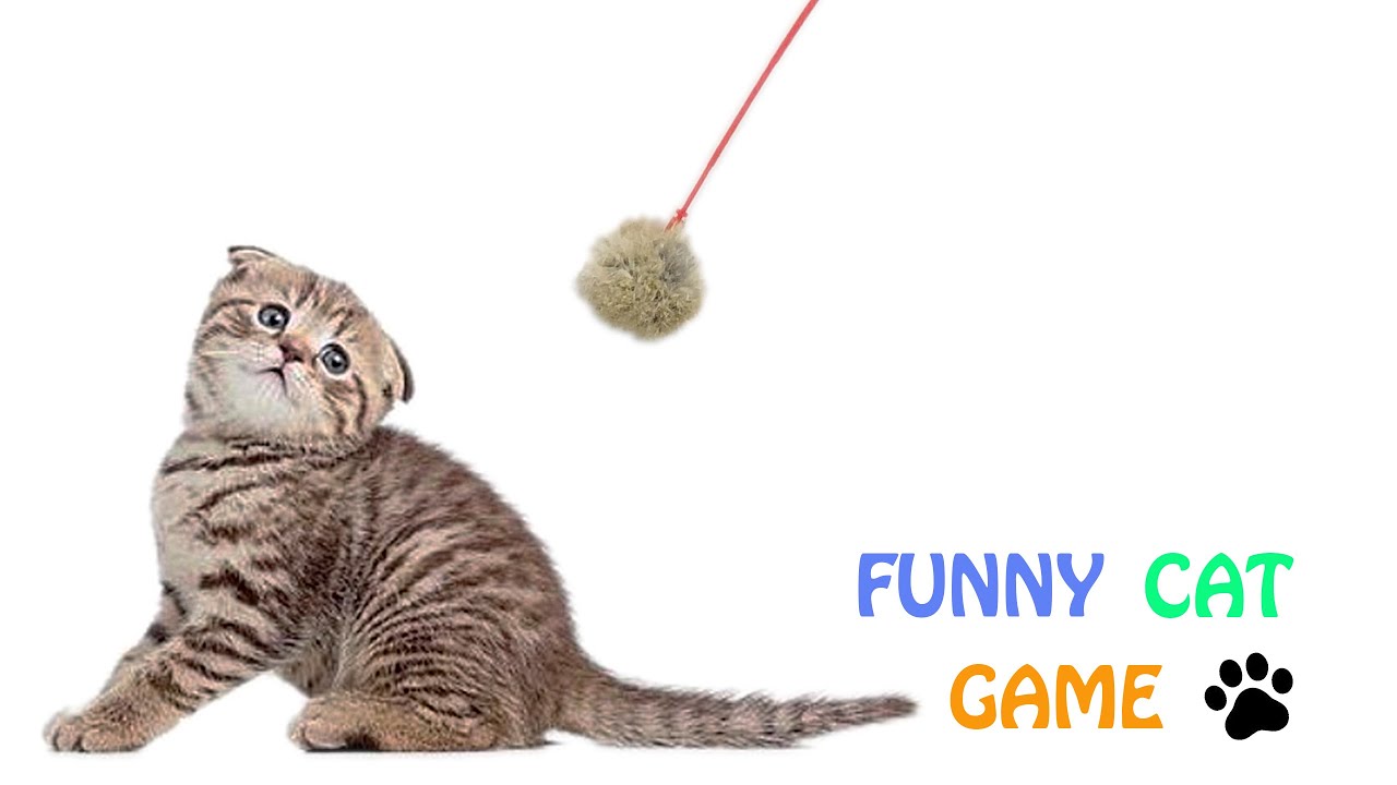 FUNNY CAT GAMES FEATHER BALL 2 HOURS - YouTube