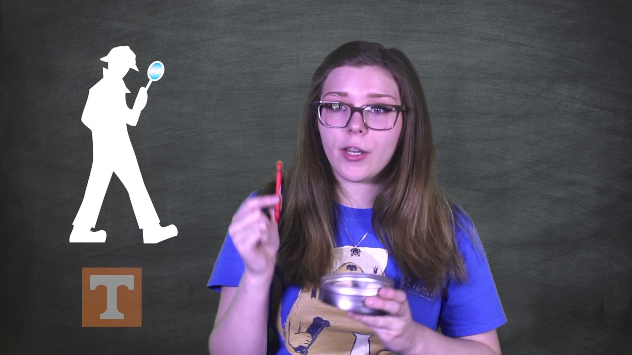 Unit 10: Exercise 1.3 BlackBox Experiment - How Science Works - YouTube