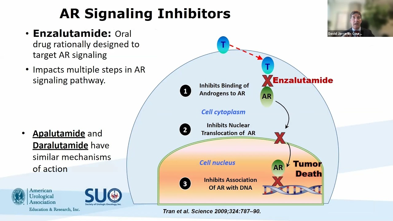 Manipulating the Androgen Axis: New Agents in mHSPC and CRPC - YouTube