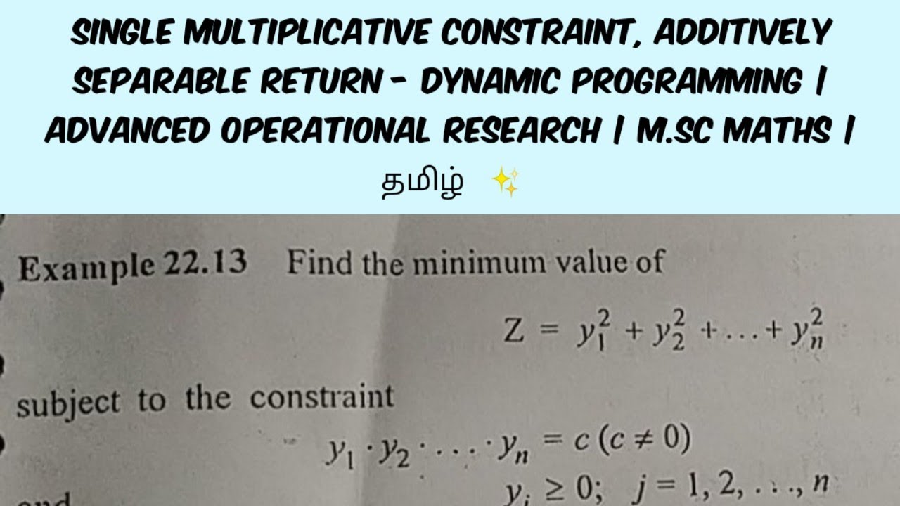 Single Multiplicative Constraint, Additively separable Return ...