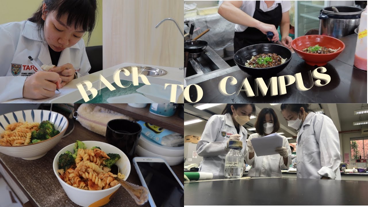 Uni Vlog | TARC Food Science Student👩🏻‍🎓First week back to campus 🏫 ...
