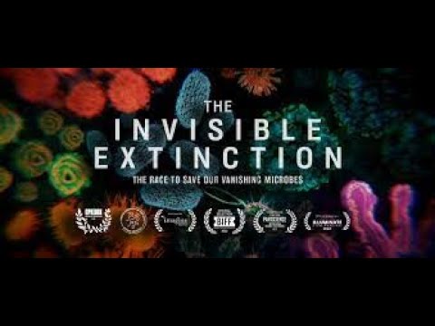 Q & A with Steven Lawrence & Sarah Schenck, co-directors of: The ...