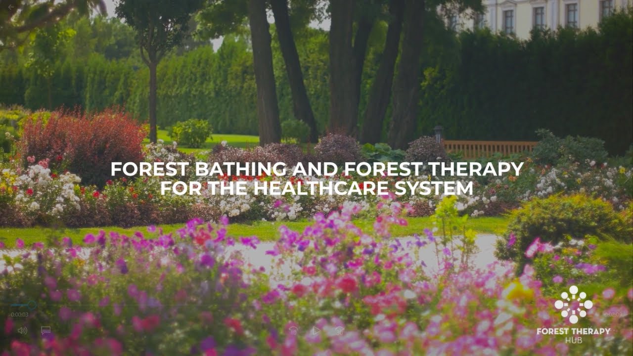 Forest Bathing and Forest Therapy for the Healthcare system - YouTube