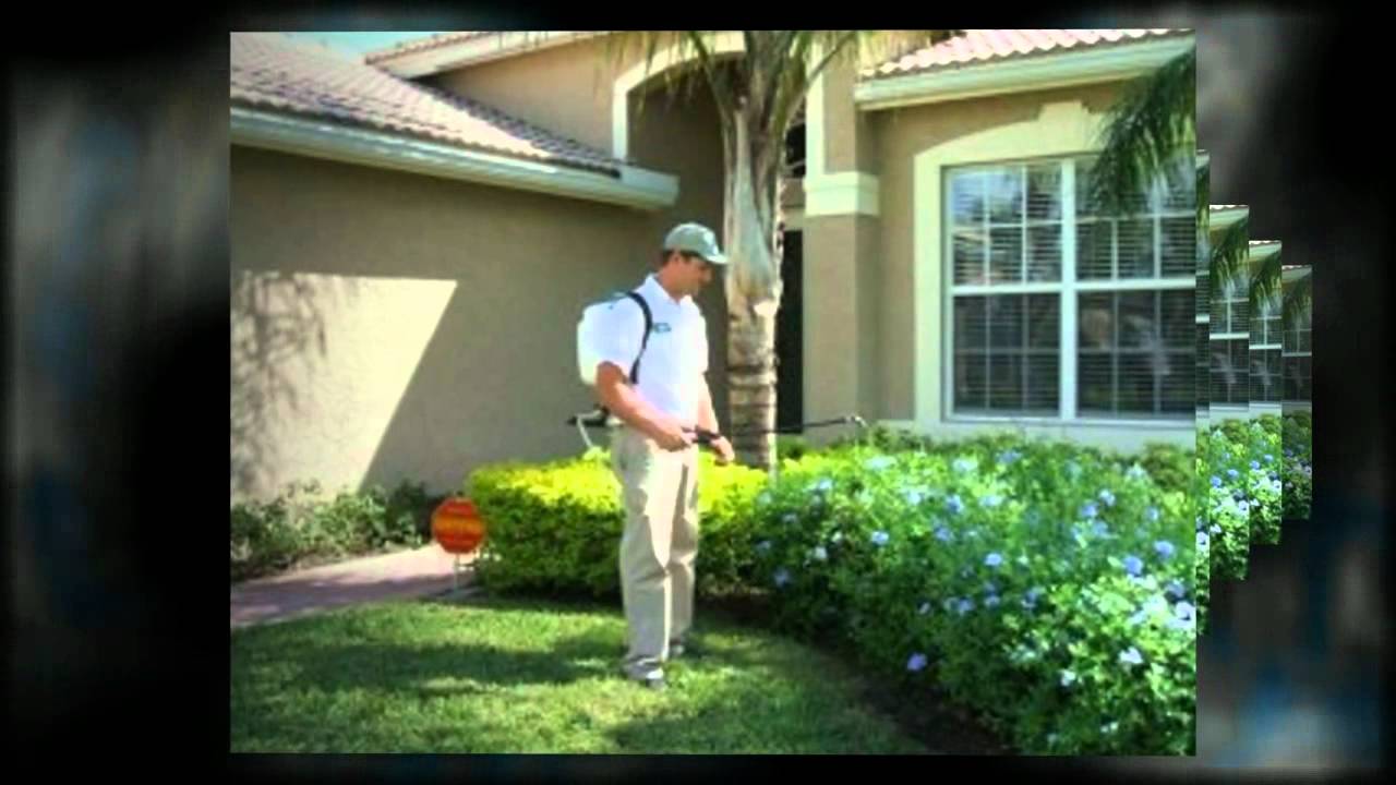 PEST CONTROL BOCA RATON (888) 885-0177 PEST CONTROL BOCA RATON - YouTube