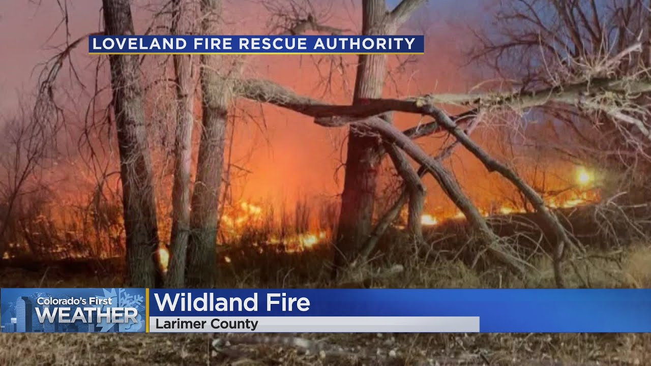 Wildland Fire Contained At 10 Acres Near Big Thompson River In Larimer ...