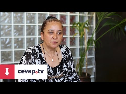Belediyenin sokak hayvanlarını toplamaya ve öldürmeye hakkı var mı?