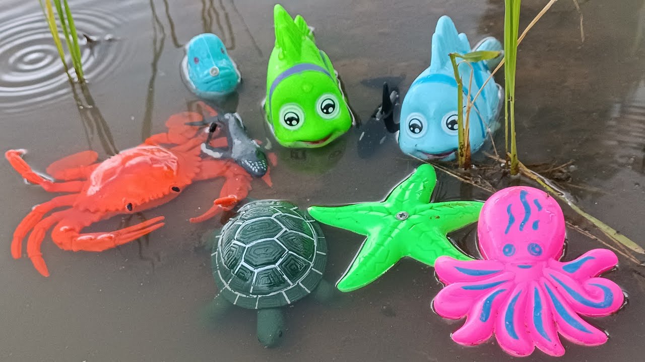 Mencari Mainan Anak-anak, Mancing Ikan Mainan, Ikan Paus, Ikan Laut ...