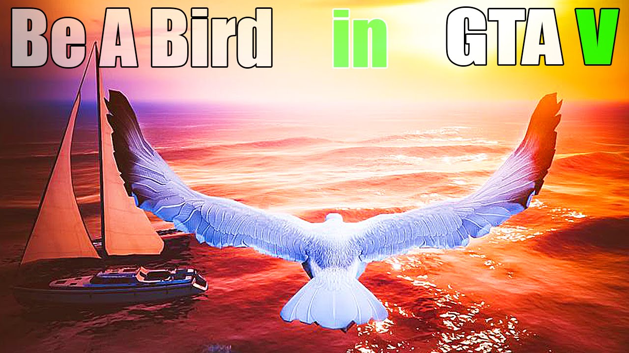 Grand Theft Auto V - How to Be A Bird in [GTAV] - YouTube